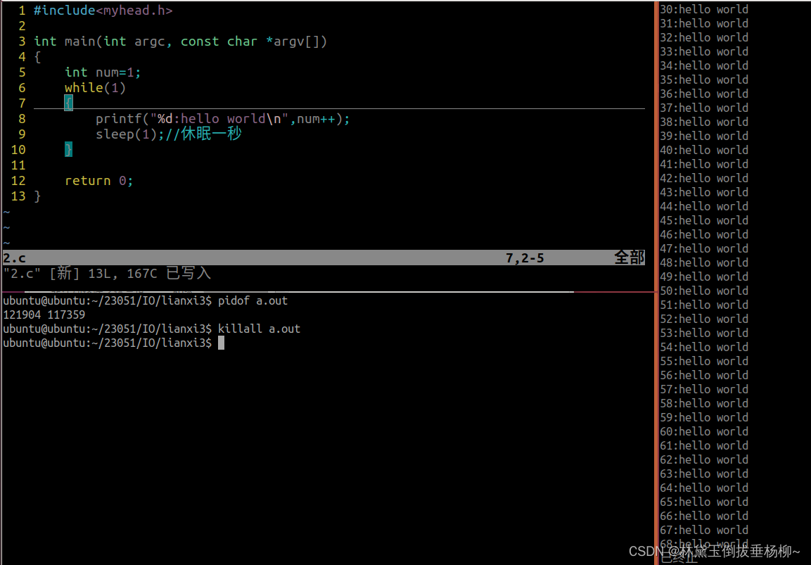 IO-day4-目录、进程-CSDN博客