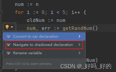 Golang之Shadowed Variables（幽灵变量）-CSDN博客