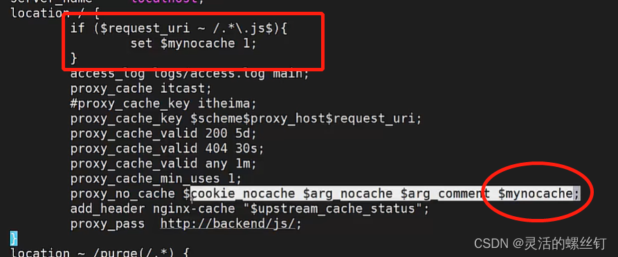 Nginx缓存配置与管理指令详解-CSDN博客