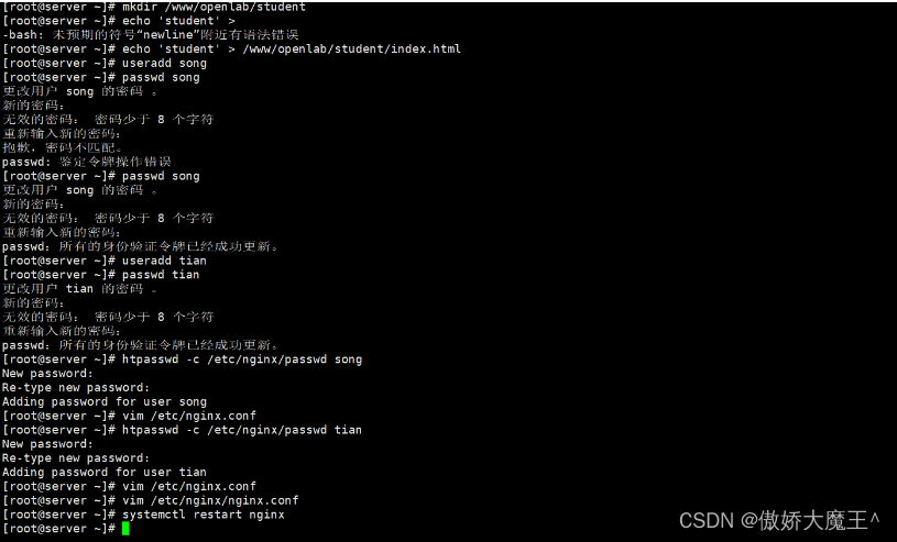 RHCE：请给openlab搭建web-CSDN博客