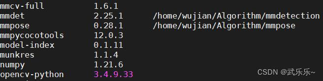 mmdetection最新版食用教程（一）：安装并运行demo及开始训练coco_mmdetection运行demo-CSDN博客