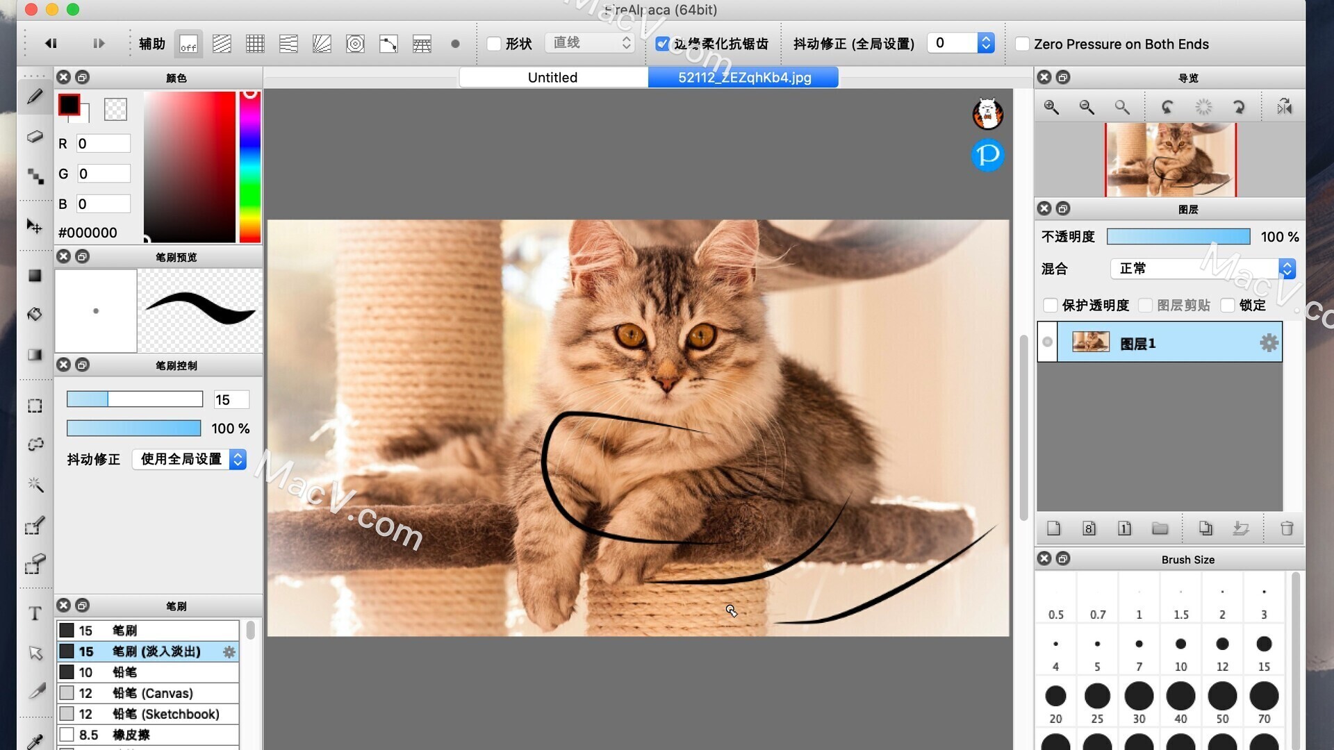 FireAlpaca for Mac(专业mac绘图软件)-CSDN博客