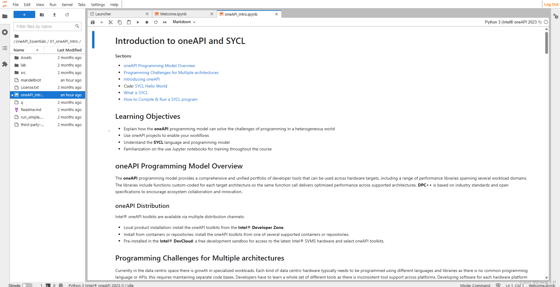 DLUT操作系统上机补充实验 —Intel® DevCloud for oneAPI_dpcpp实验-CSDN博客