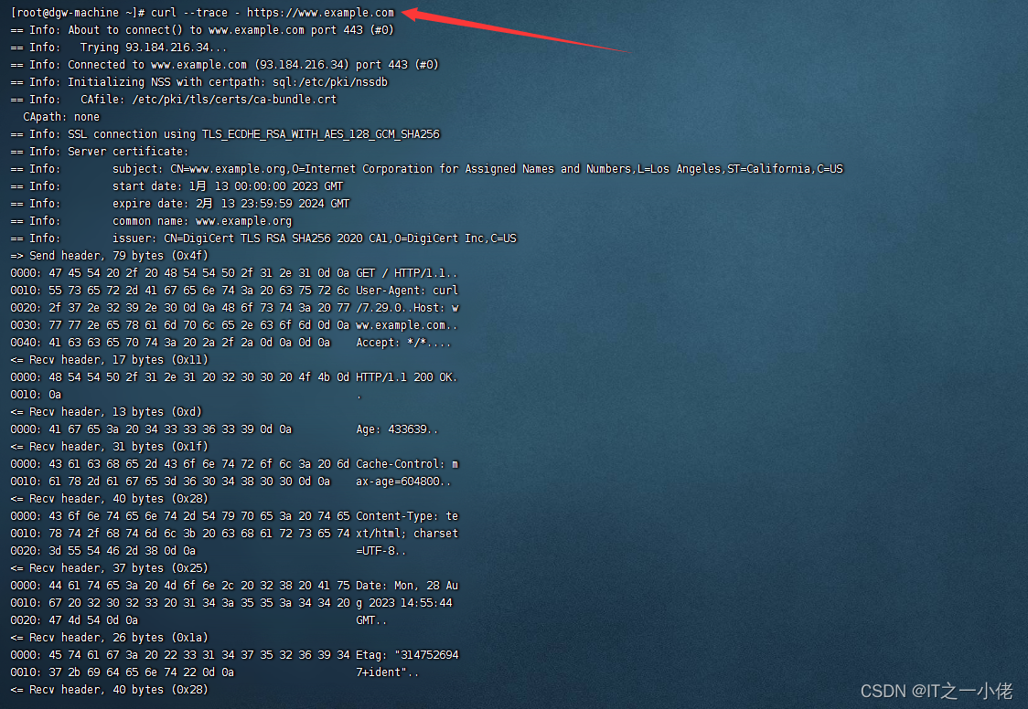 Linux系统中curl命令用法详解_linux curl-CSDN博客