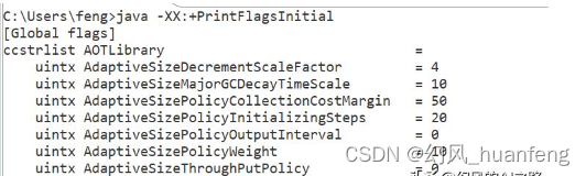 JVM虚拟机：如何查看JVM初始和最终的参数？_深入了解JVM虚拟机-CSDN专栏