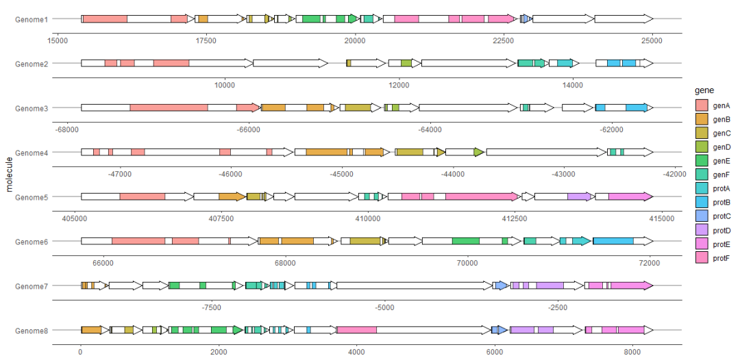 gggenes绘制多物种基因结构比较-CSDN博客