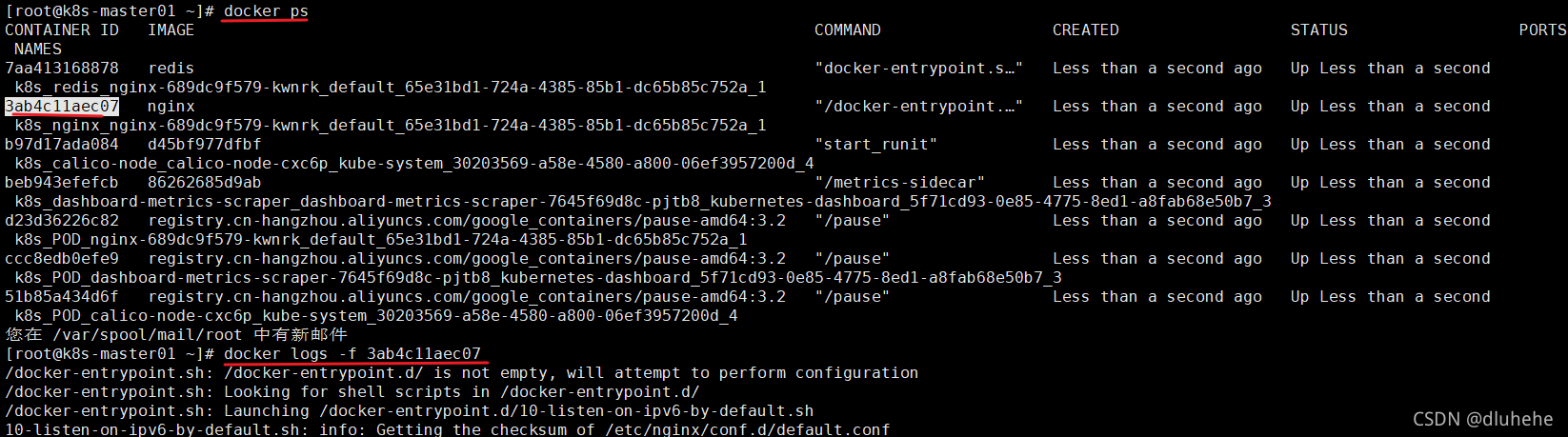 第4章 Docker基本操作指南_docker pull alpine-CSDN博客