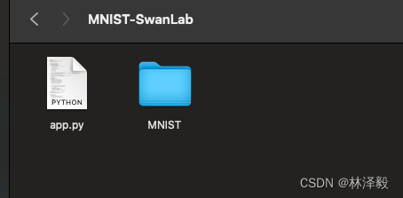 PyTorch MNIST手写体识别：SwanLab可视化训练_手写体识别可视化-CSDN博客