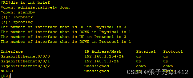 display查看命令_dis int link-info-CSDN博客