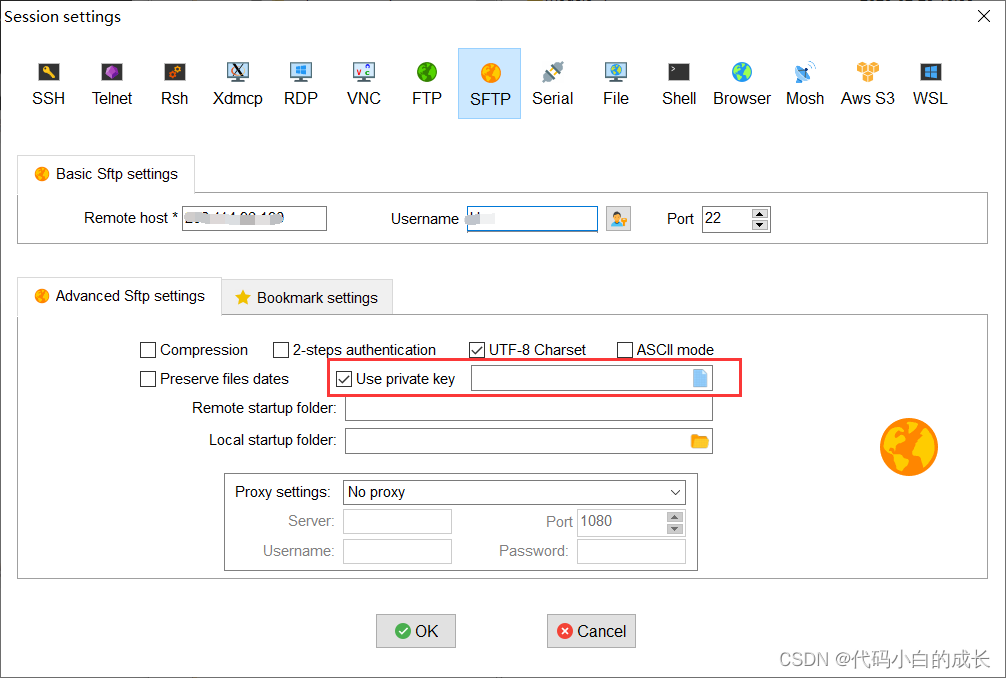 Slurm超算集群跑深度学习代码教程_slurm集群-CSDN博客