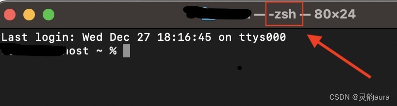 程序媛的mac修炼手册-- 终端shell的驾驭 zsh vs bash_mac zsh和bash-CSDN博客