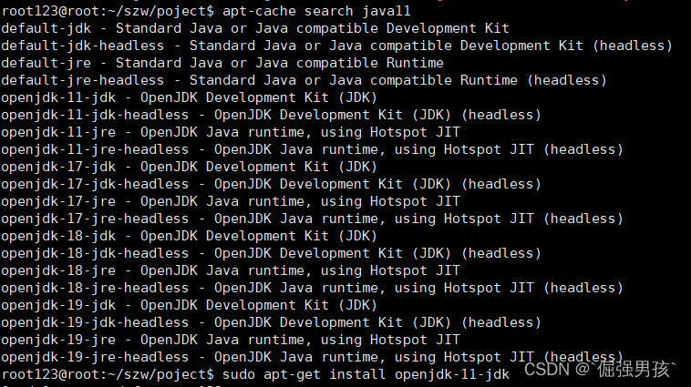 Ubuntu安装jdk11-CSDN博客
