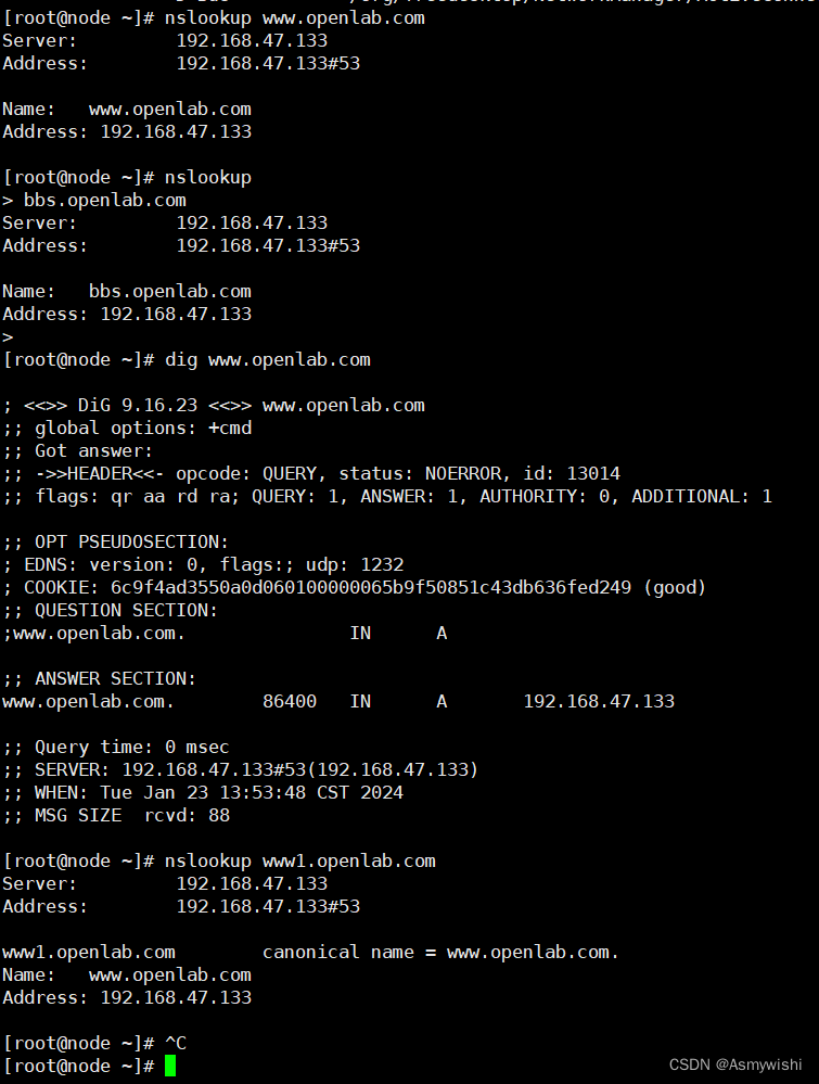 RHCE DNS域名解析服务器-CSDN博客