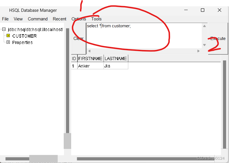 使用HSQLDB教程：从创建数据库到数据持久化-CSDN博客