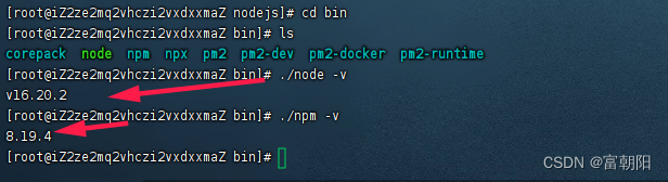 node服务部署vue3（ssr）单页面应用上线_vue3 node.js ssr-CSDN博客