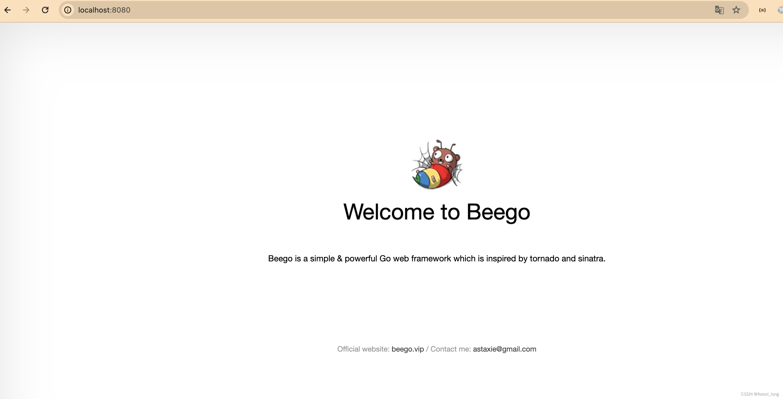 【Beego】（二）Beego安装_beego 安装-CSDN博客