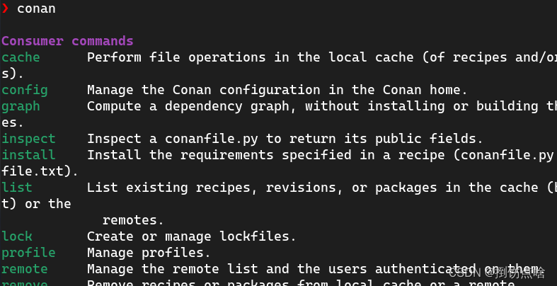 Conan C/C++ 开源包管理工具_conan c++-CSDN博客