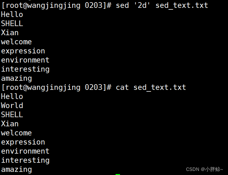 shell sed详解-CSDN博客