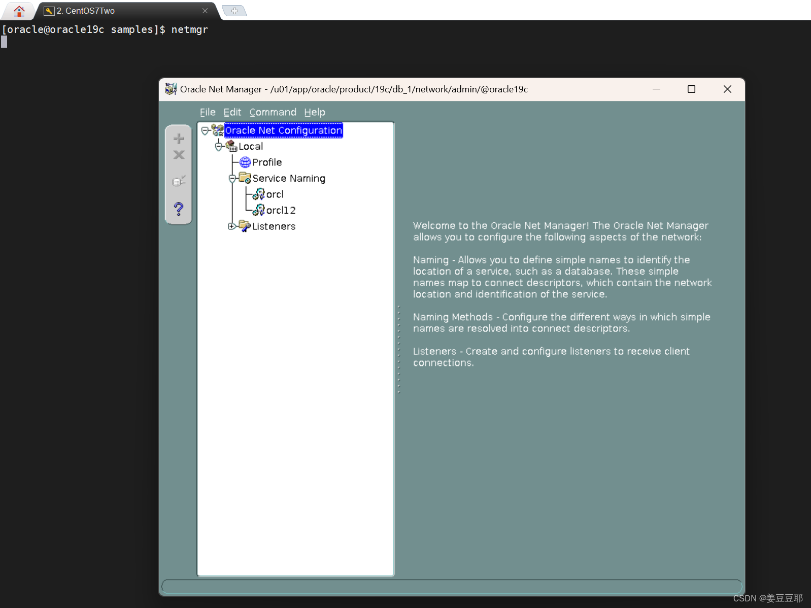 Oracle体系结构：网络管理_oracle 管理面网络-CSDN博客