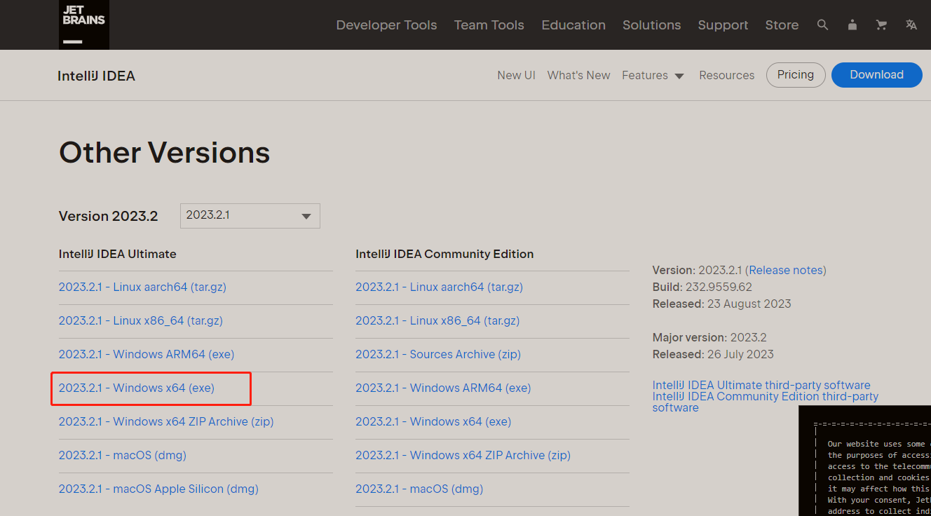 【Java全栈】IDEA专业版（集成开发工具）下载 + 安装 + Pojie + 使用全套流程_idea专业版下载-CSDN博客