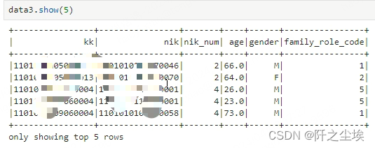 Pandas,polars,pyspark的df对象常见用法对比 Csdn博客 2324