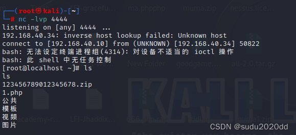 SSRF——手把手教你Redis反弹Shell-CSDN博客
