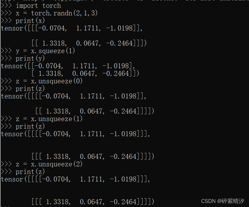 tensor的squeeze操作和unsqueeze操作_tensor.squeeze-CSDN博客