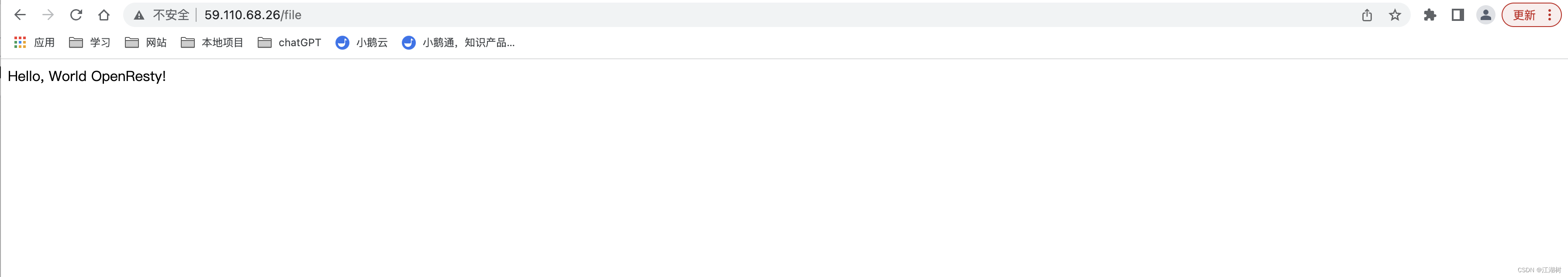 4.Nginx整合OpenResty+Lua （黑名单控制、内网访问限制、资源下载限速、日志分析、漏桶原理、令牌桶原理）_openrestry nginx-CSDN博客