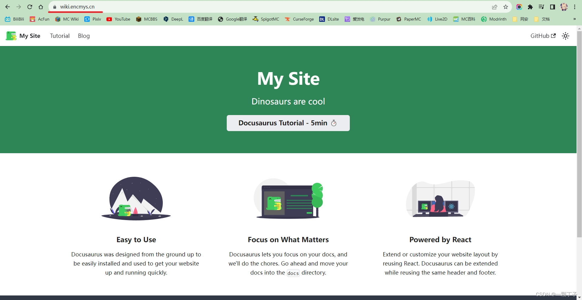 使用 Docusaurus + Git 优雅地搭建自己的文档和博客站点-CSDN博客