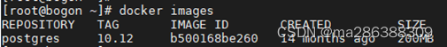 使用docker部署postgresql数据库docker Pgsql Csdn博客