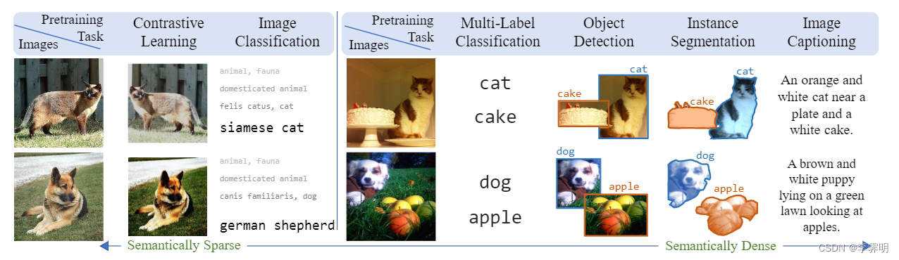 VirTex: Learning Visual Representations from Textual Annotations-CSDN博客