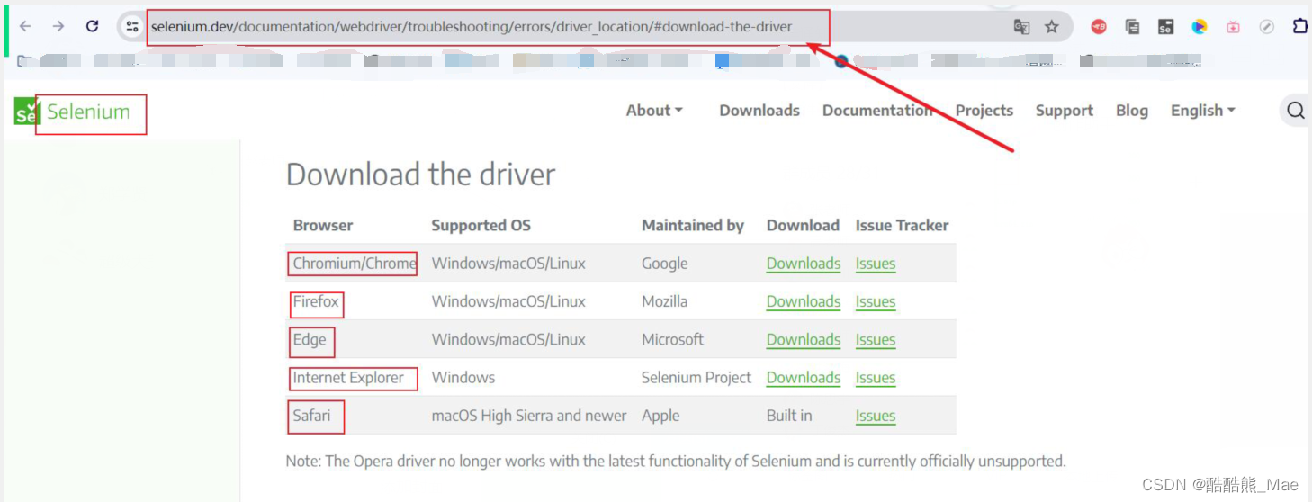 Seleniumwebdriver问题:解决nosuchdriverexception及chrome浏览器驱动下载与配置指南 Csdn博客