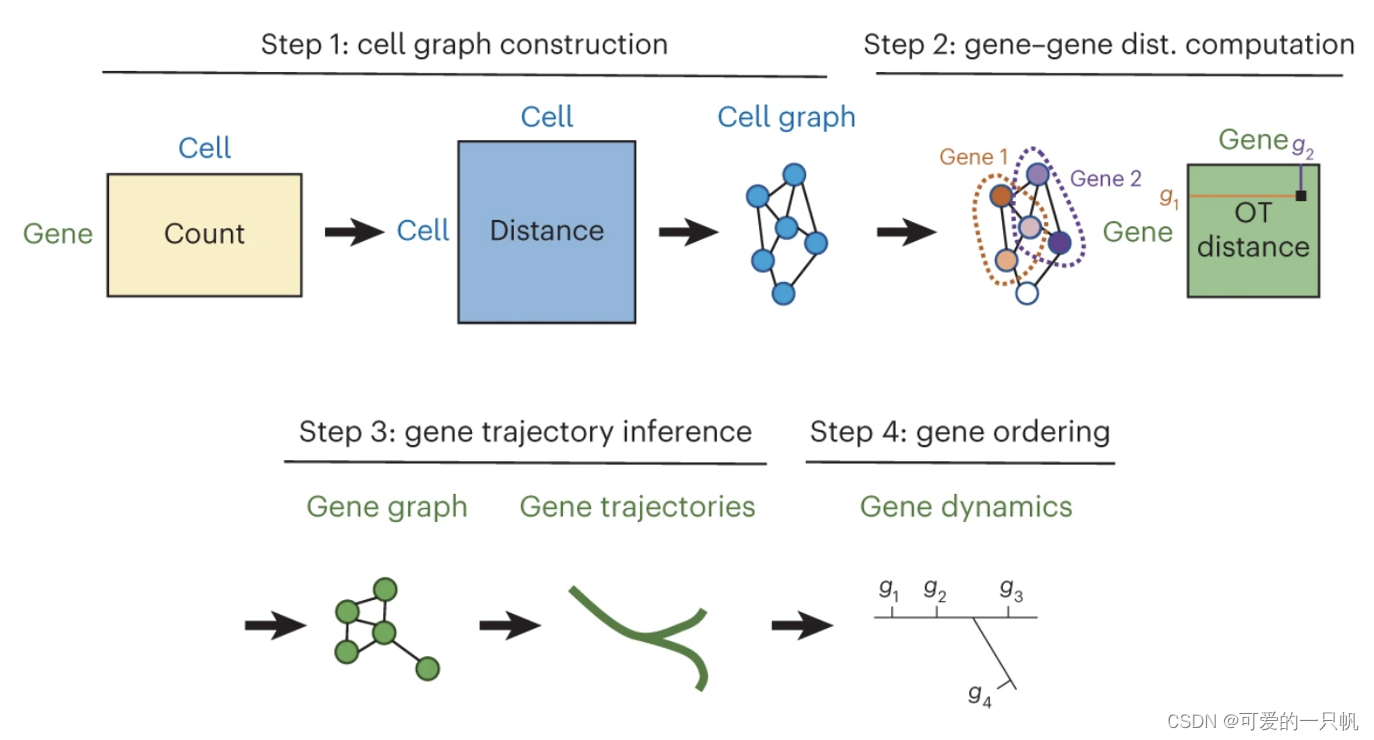 生信新包｜GeneTrajectory·单细胞基因轨迹推断-CSDN博客
