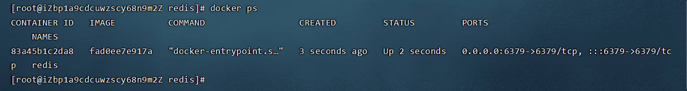 Docker安装redis带挂载启动 Docker Redis 挂载 Csdn博客