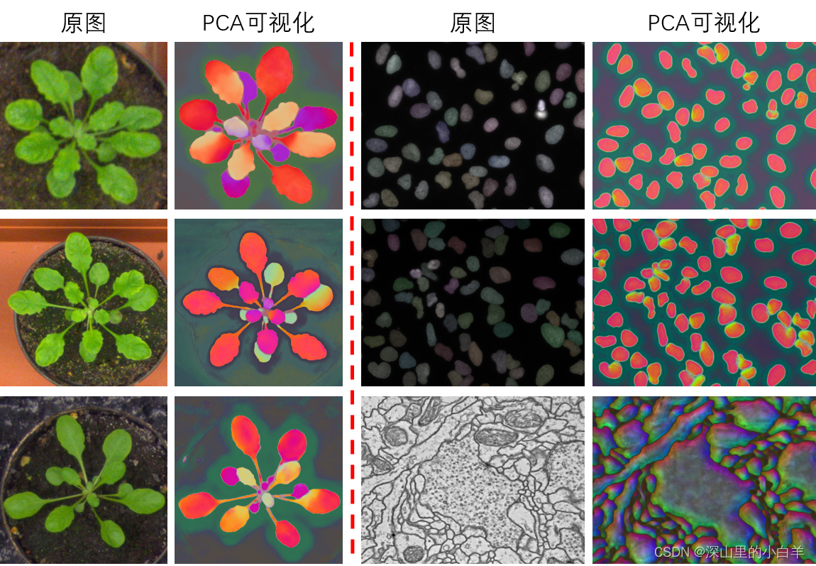 网络特征之PCA可视化-Python实现_learning to model pixel-embedded affinity for homo-CSDN博客