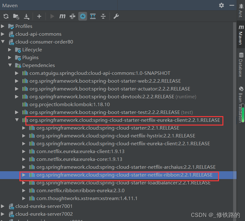 SpringCloud笔记(九)-Ribbon_ribbon官网-CSDN博客