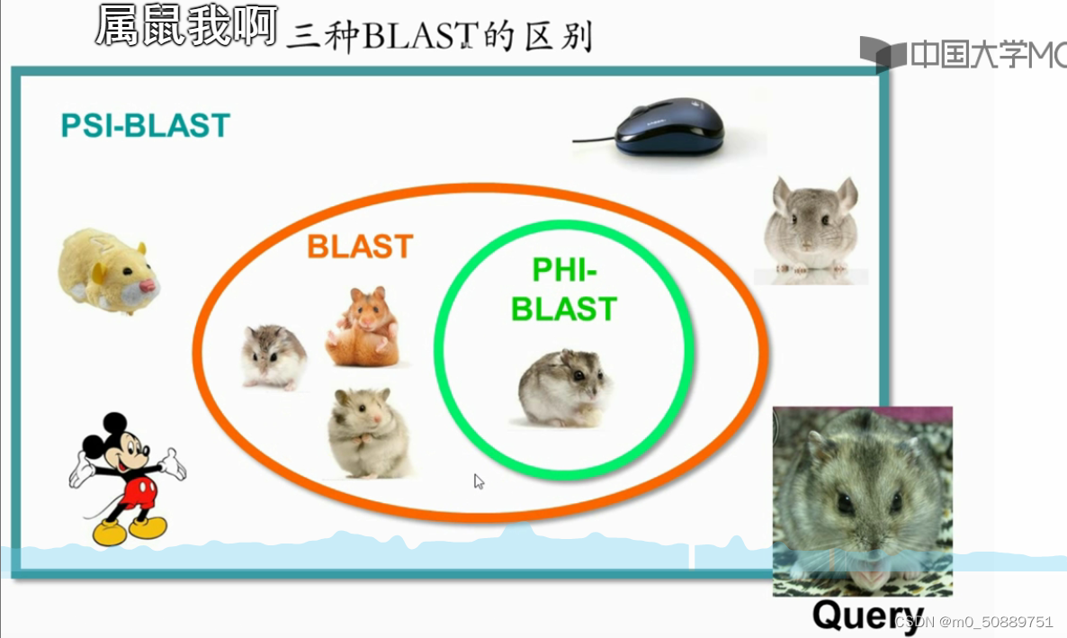 Blast 几种方法的具体用法以及含义_tblastn-CSDN博客