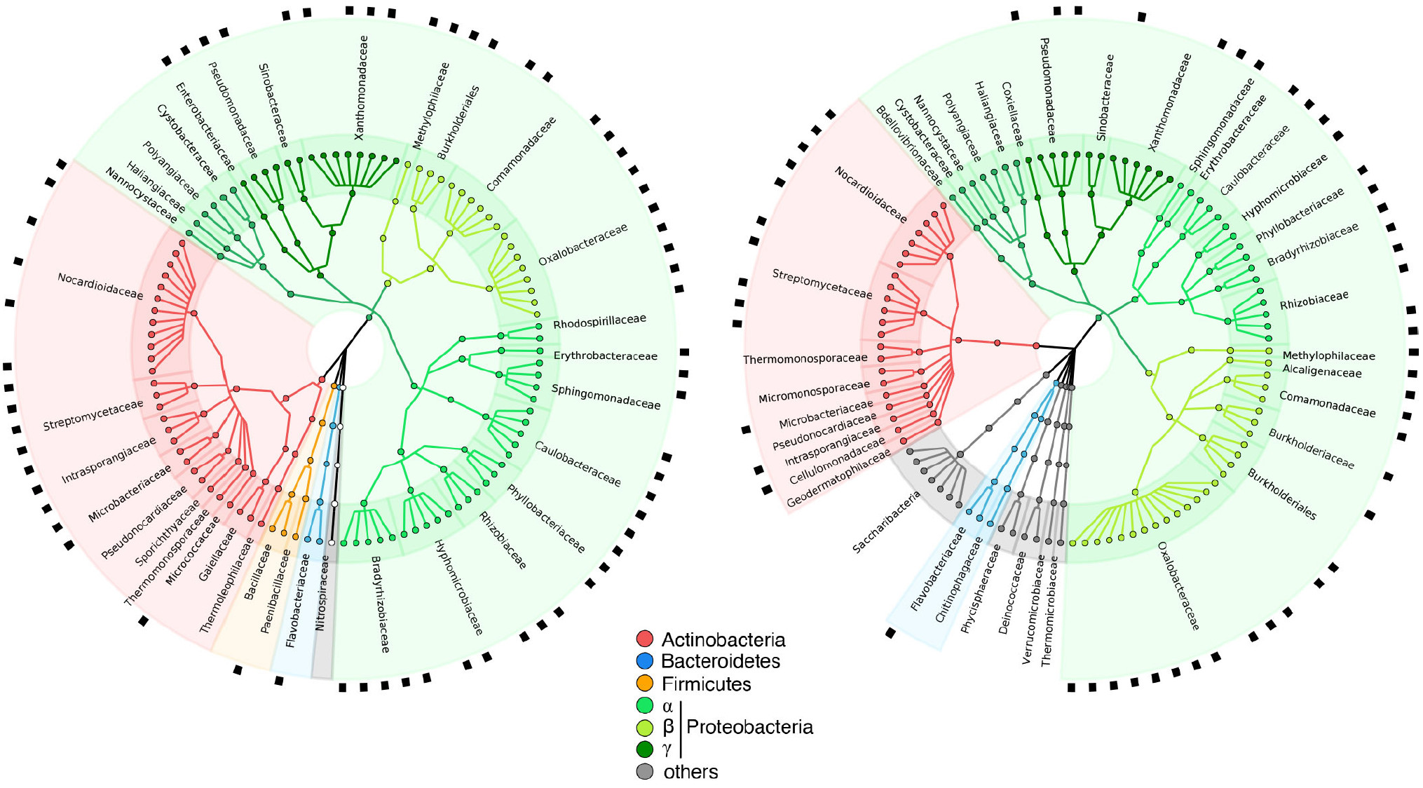 重现2篇Nature中GraPhlAn绘制的超高颜值物种树Cladogram_graphlan图怎么解读-CSDN博客