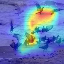 推荐一个计算Grad-CAM的Python库_pip install grad-cam-CSDN博客