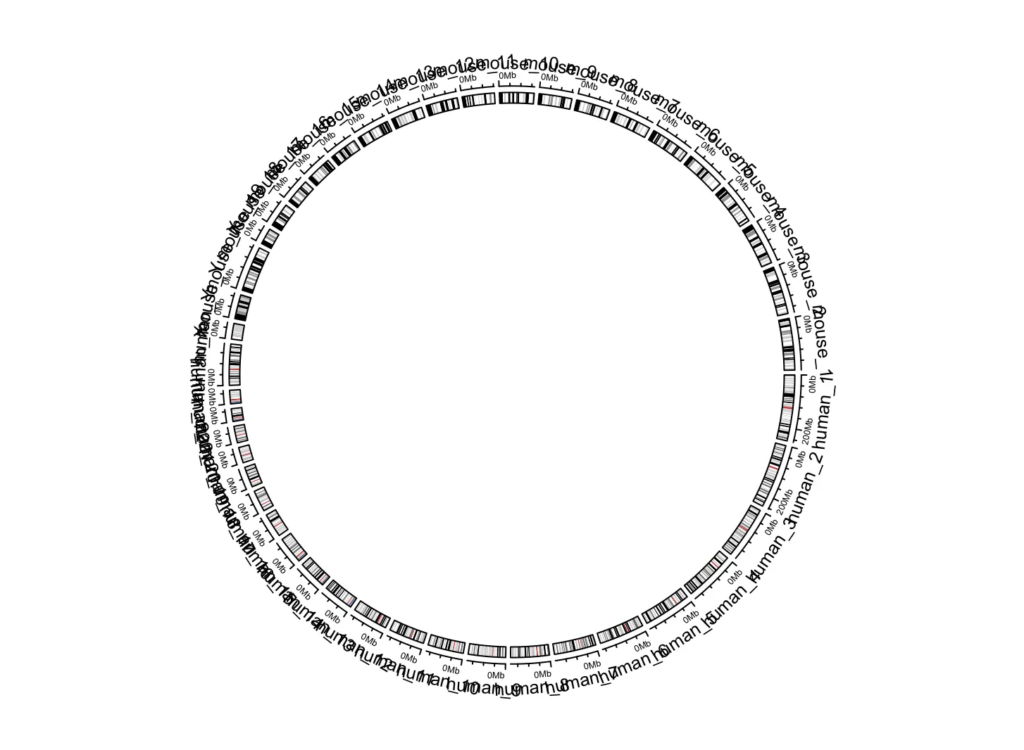 R 数据可视化 —— circlize 基因组初始化_circos.genomictrack-CSDN博客