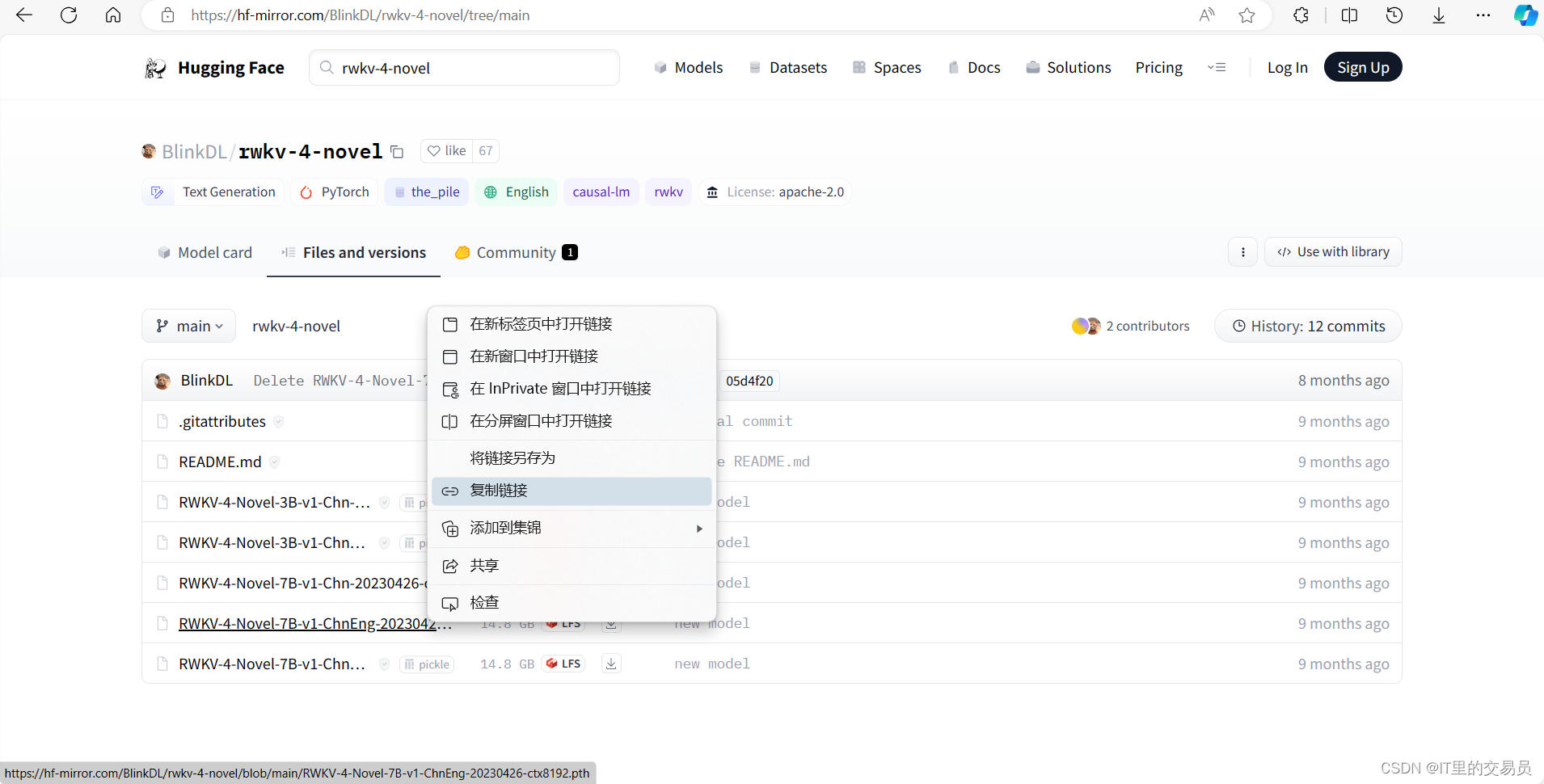 【AI之路】使用huggingface_hub通过huggingface镜像站hf-mirror.com下载大模型（附代码，实现大模型自由）-CSDN博客