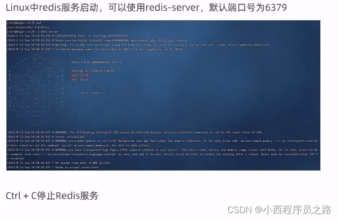 外卖项目09---Redis了解_hashoperations.keys-CSDN博客