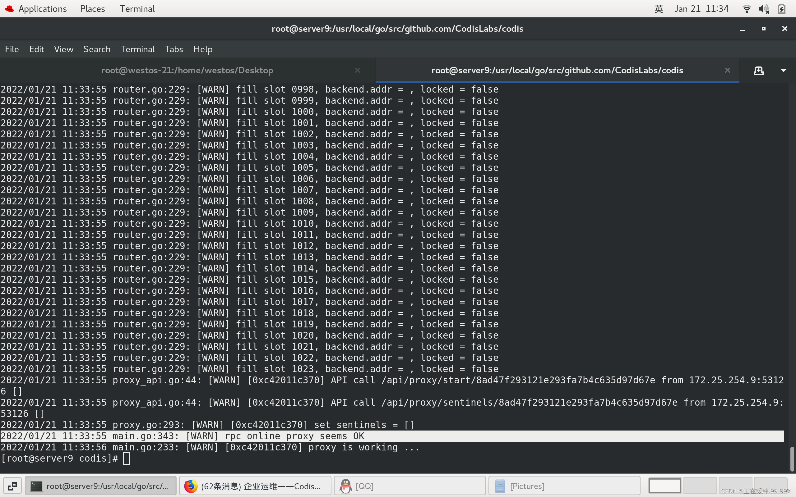 codis集群的搭建_codis proxy无法连接集群-CSDN博客