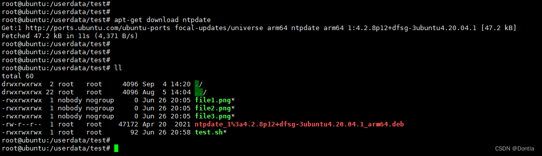 Linux ntpdate命令介绍（校时客户端）（ntp客户端）ubuntu离线安装ntpdate（未封装、高端口号）（知名端口、注册端口、动态端口/私有端口）-CSDN博客