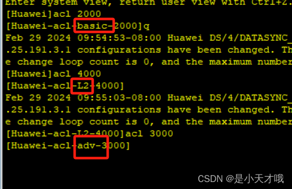 ACL-基础概念_基础acl-CSDN博客
