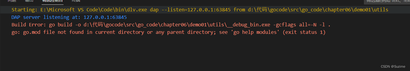 go运行调试报错及解决_go env -w go111module=on-CSDN博客