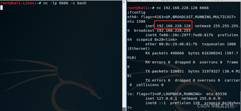 Netcat与ncat：强大的网络工具与安全增强,-CSDN博客
