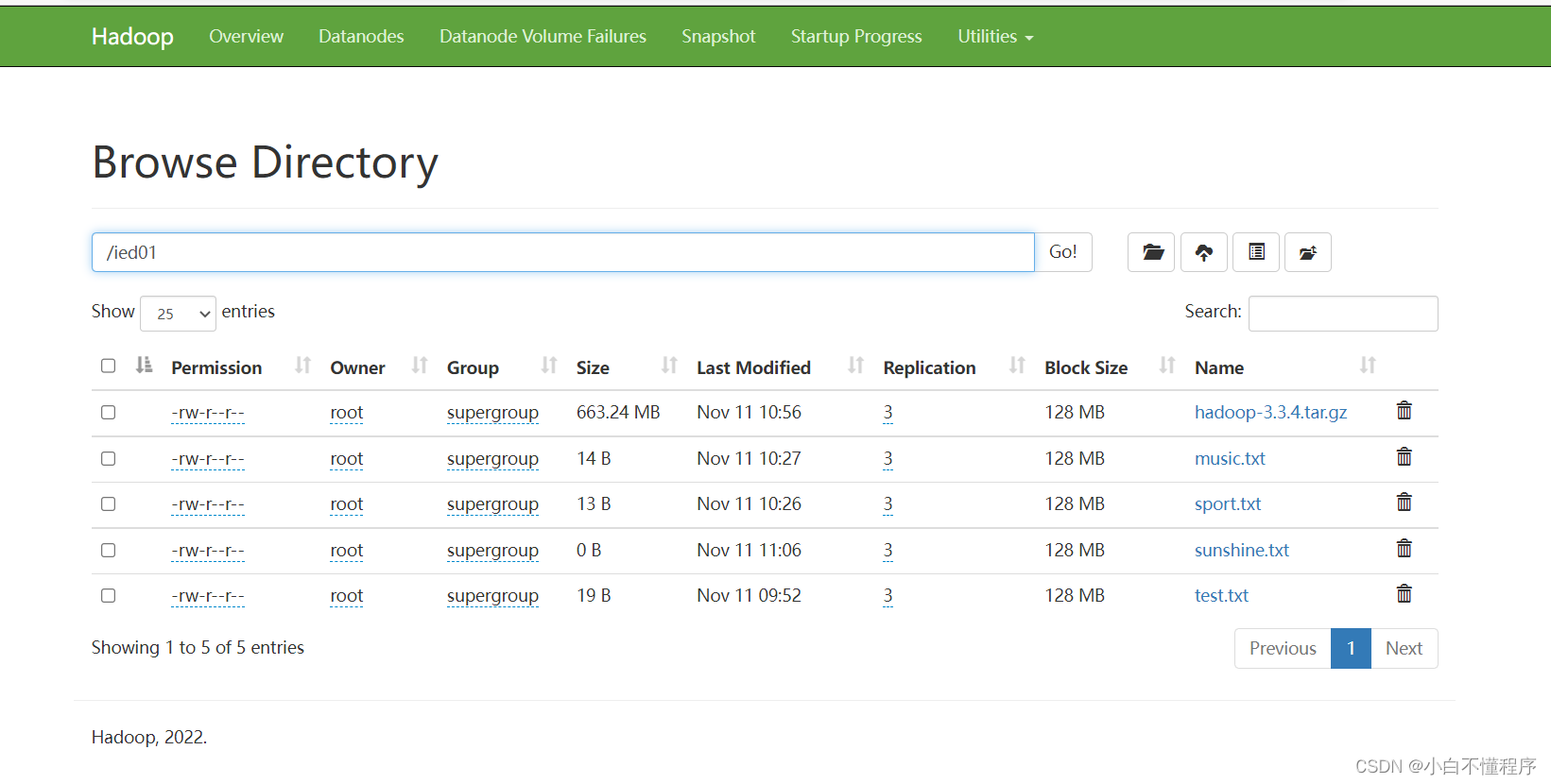 HDFS的shell操作_hadoop删除目录命令-CSDN博客