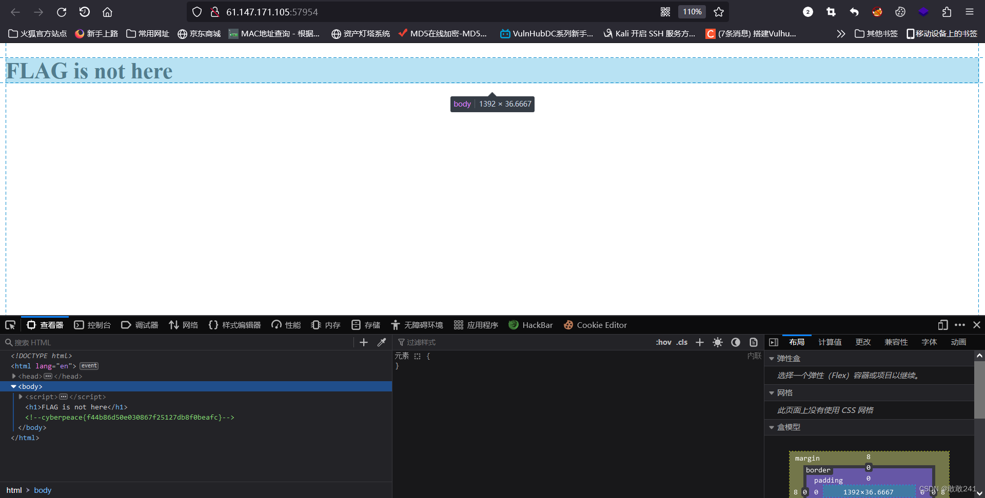 每天一道CTF(Web方向)-CSDN博客