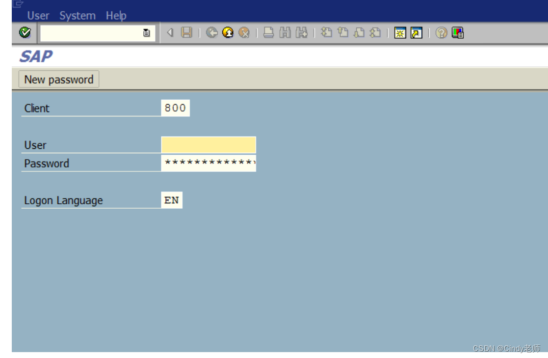 如何使用T-code SE61设置SAP登录界面文字？_sap se61-CSDN博客